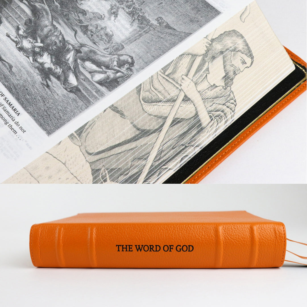 Humble Lamb Premium Bibles