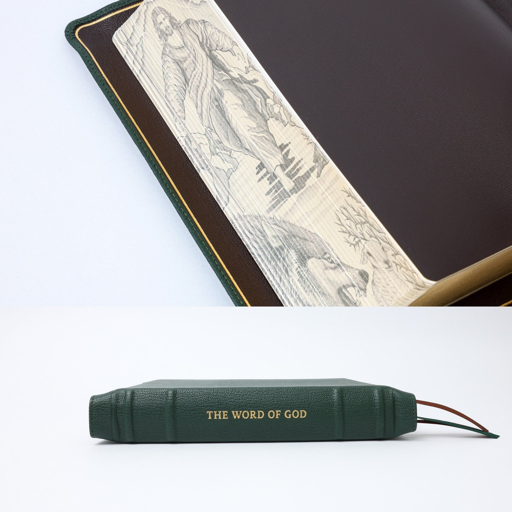 Seconds – Humble Lamb